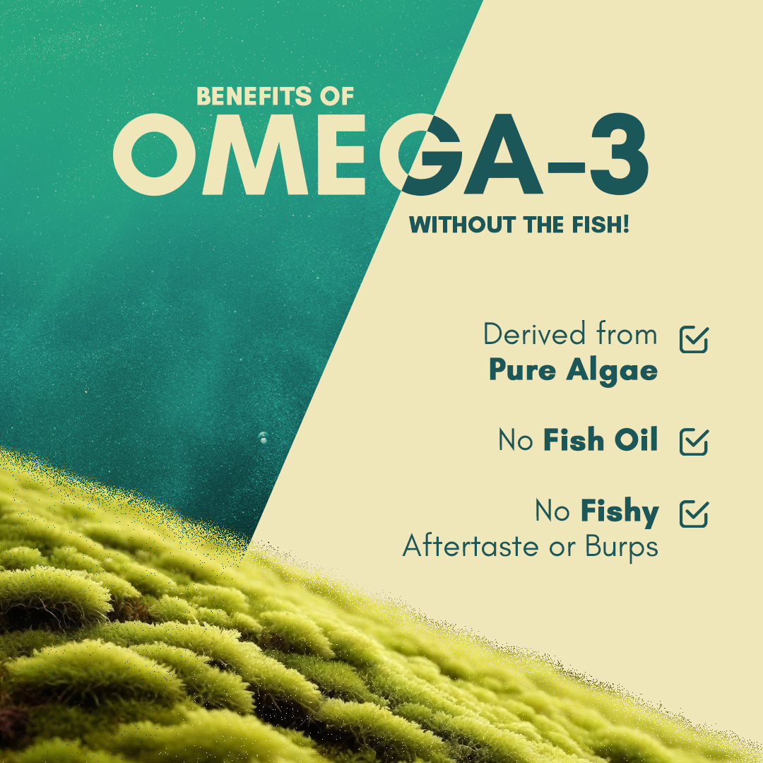 Plant-Based Omega-3 – Vegan DHA & EPA Capsules - Rasayanam