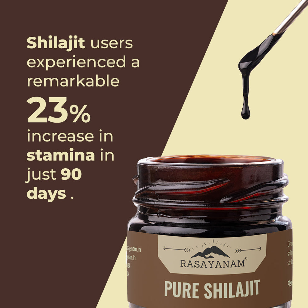 Himalayan Shilajit - 100% Pure Shilajit for daily wellness - Rasayanam